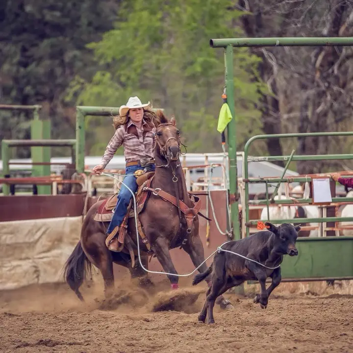 Elite Breakaway - Women's Breakaway Roping