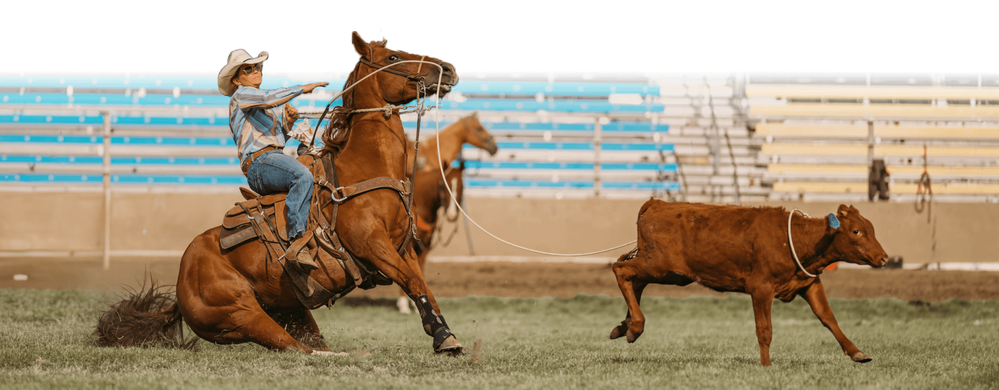 Elite Breakaway - Women's Breakaway Roping